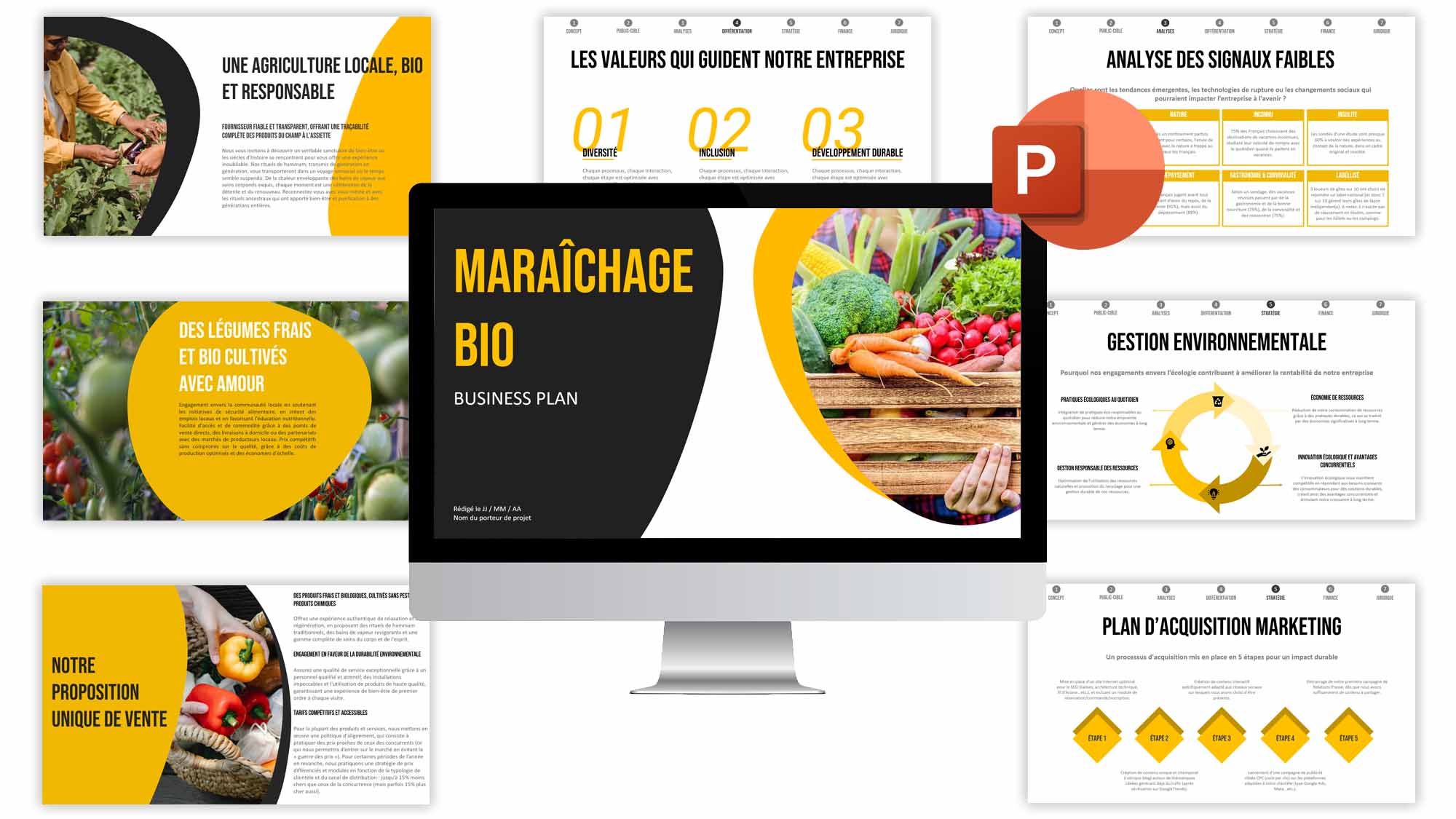 Maraîchage Bio : Business Plan - Exemple rédigé à télécharger (PDF et PPT)