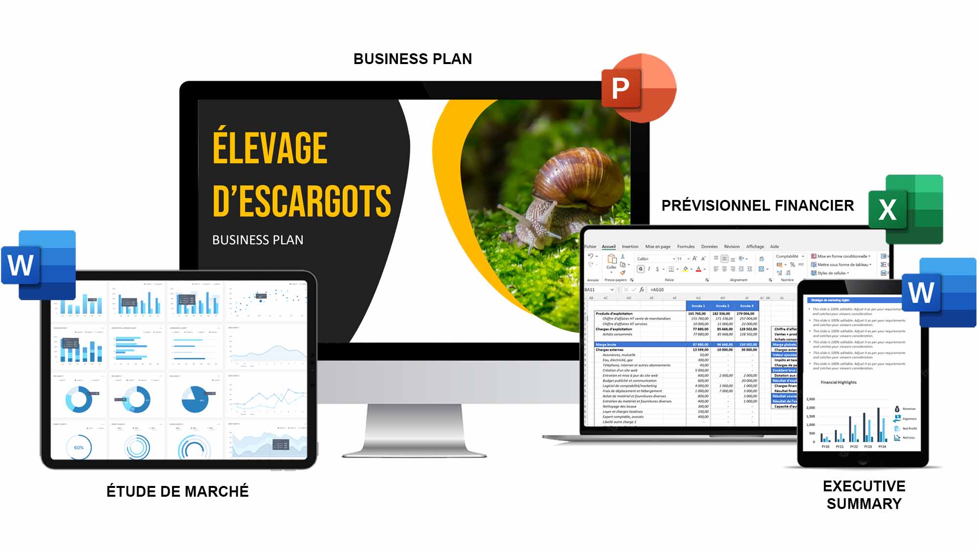 Élevage d'Escargots : Business Plan - Exemple rédigé à télécharger (PDF ...